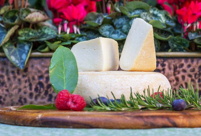 Caseificio – Azienda Agricola Sant'Anna